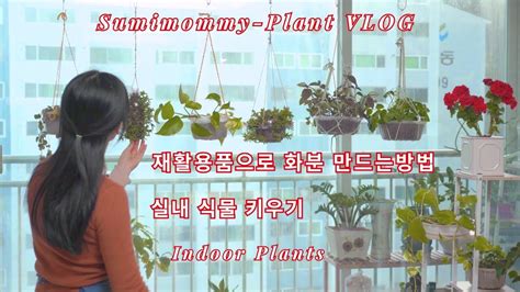 재활용품으로 예쁜 화분 만들어서 화초를 심어요 식물vlog Plantvlog Youtube