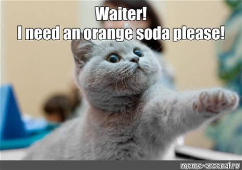 Create Meme Cat Kitten Cat Show Pictures Meme