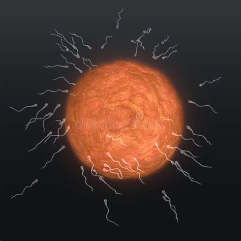 Ovum With Sperm Stock Illustration Illustration Of Planet 42755002