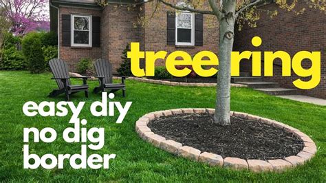 Cement Border For Trees