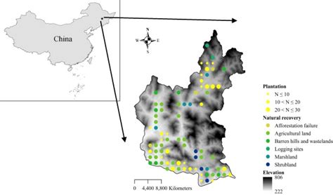 Factors Driving Native Tree Species Restoration In Plantations And Tree