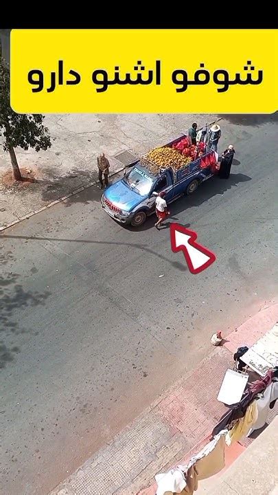 هدا مالو Youtube