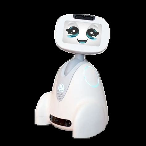 Leobotics Store Concept Innovation In Robotics In Lyon