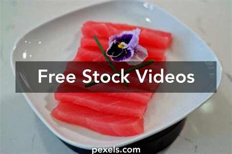 Flower Horn Fish Videos Download The Best Free 4k Stock Video Footage