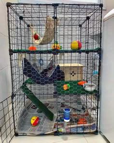 Ideal Ferret Cage Setup