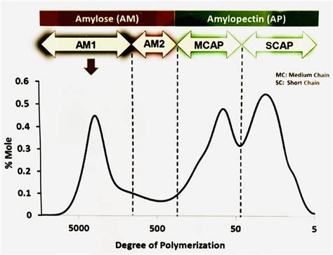 Week 4 Sec Data Analysis Gi Experiment Summit Hike Jessica Isaac