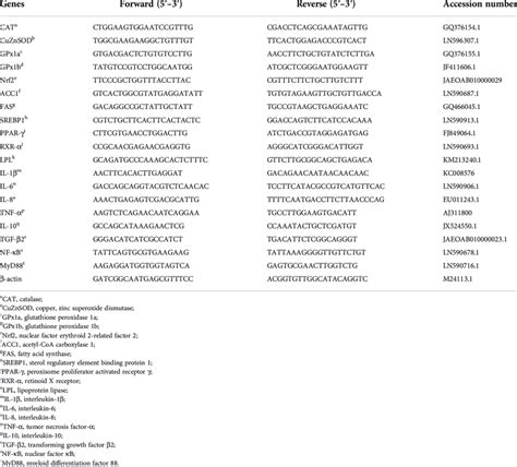 Primer Sequences For Quantitative Real Time Pcr Download Scientific Diagram