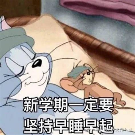 有哪些大学生实用的表情包 知乎