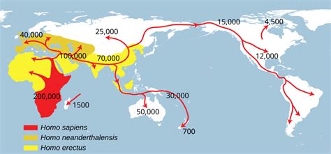 How Early Humans Conquered The Globe The Secret Behind The 50 000 Year