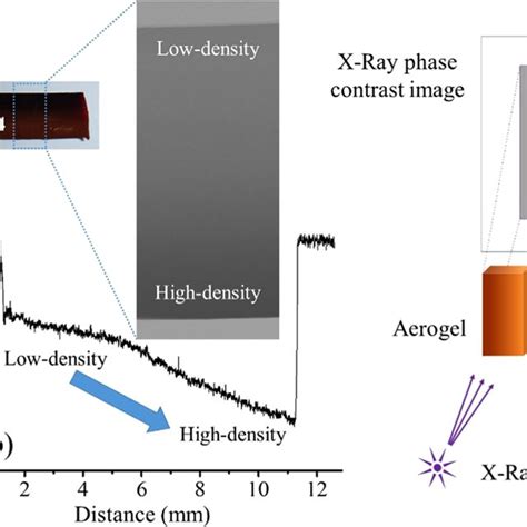 A X Ray Phase Contrast Image Of Sample 4 B Corresponding Curve Of Download Scientific