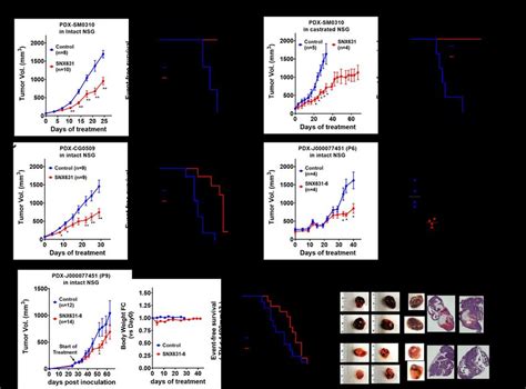 Effects Of Mediator Kinase Inhibitors On Pdx Crpc Growth A Effects