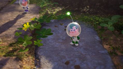 Dalmo Pikminia Fandom