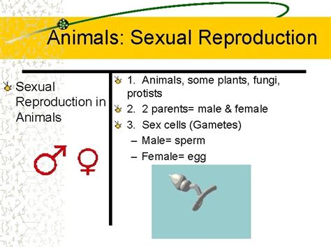 Asexual Reproduction In Protists Monerans And Comparing Sexual