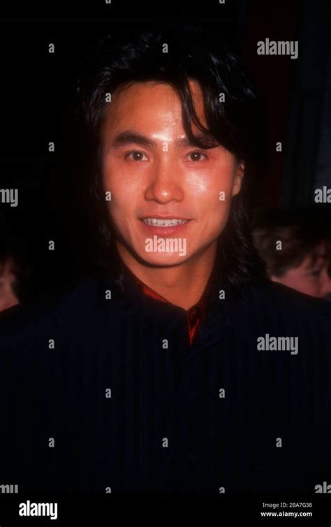 Robin Shous Instagram Twitter And Facebook On Idcrawl