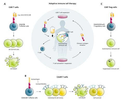 Dr Niraj Mishra Ph D Posted On Linkedin