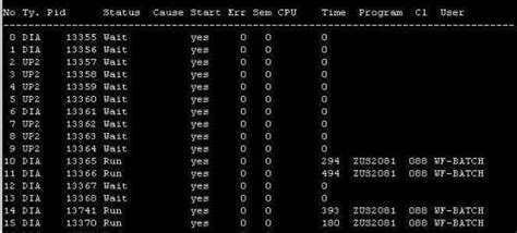 Monitoring Sap Work Processes Via Os Command Sap Basis Trick