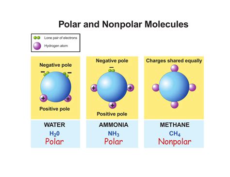 Polar Bonds Vs Non Polar Polar And Nonpolar Molecules Suov