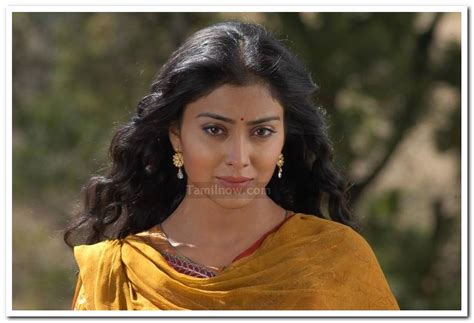 Shriya Still 18 Tamil Actress Shriya Photos
