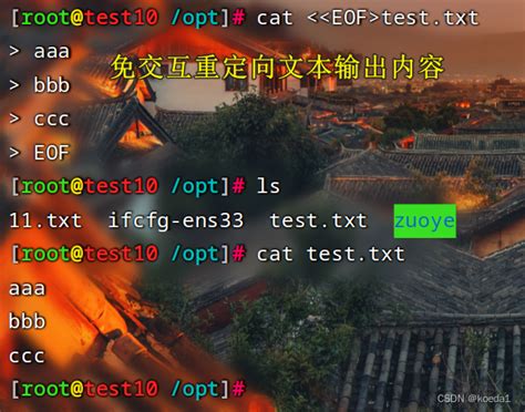 Shell之免交互shell编程之免交互 Csdn博客