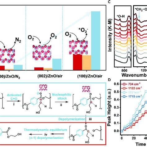 Catalytic Depolymerization Path A A Catalytic Performance For