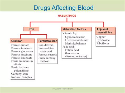 Pharmacological Classification Ofdrug1 2 Pdf