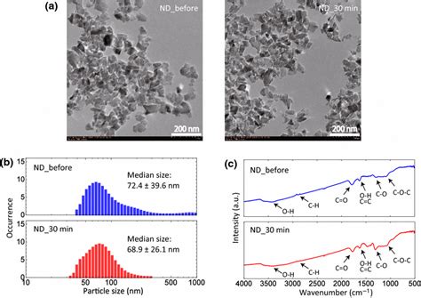 A Tem Images B Particle Size Distribution Determined By Dls And C Ftir