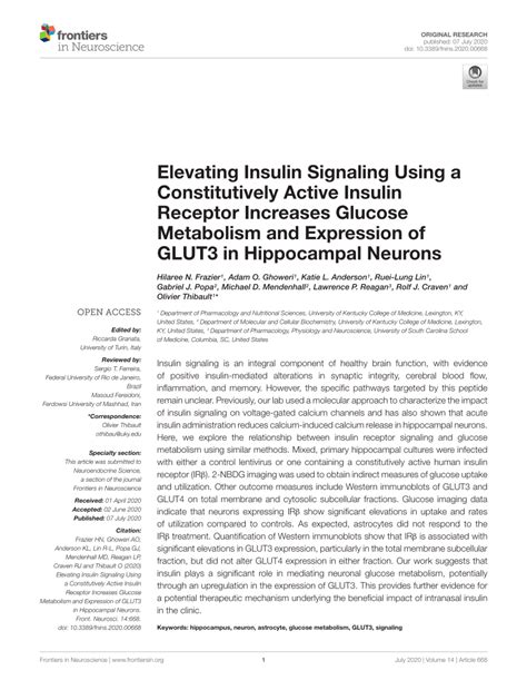 Pdf Elevating Insulin Signaling Using A Constitutively Active Insulin Receptor Increases