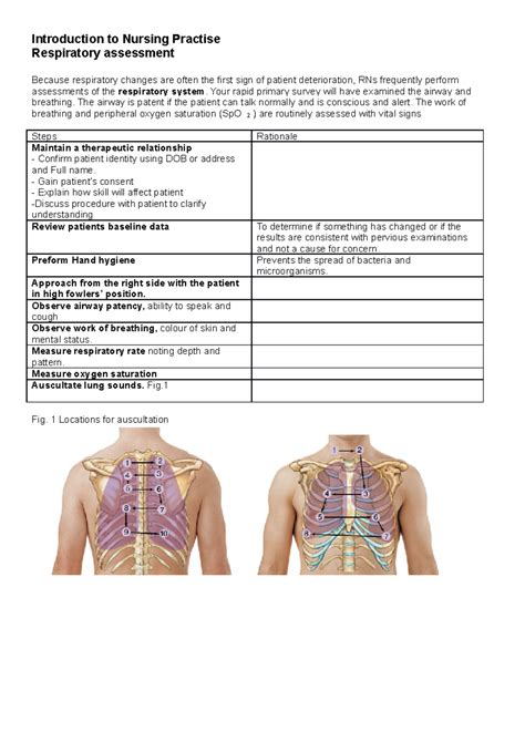 Respiratory Assessment Introduction To Nursing Practise Respiratory Assessment Because
