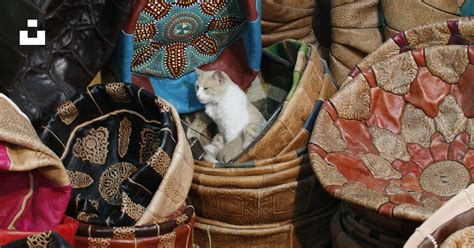 Assorted Textiles Photo Free Apparel Image On Unsplash