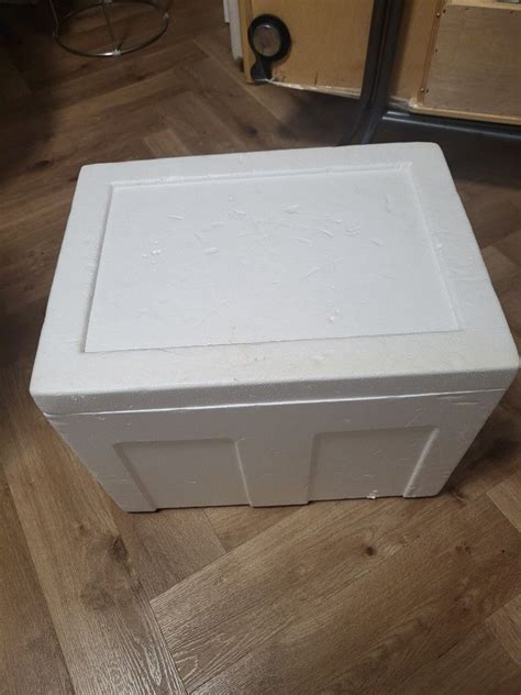 Styrofoam Cooler Box Everything Else On Carousell