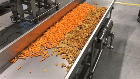 Sanitary Food Grade Conveyors And Handling Equipment Pfi