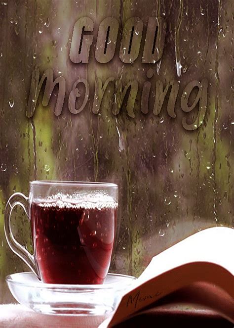 Rainy Season Good Morning Happy Rainy Day  Raining Floral Good