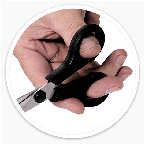 Small Classroom Scissors Free Delivery
