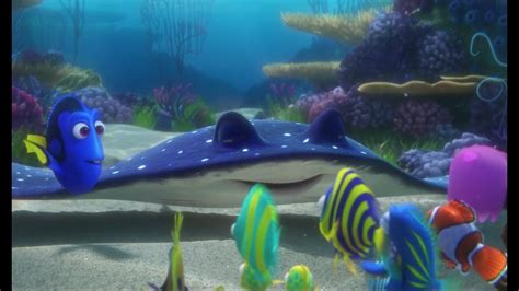 Finding Nemo College  Find Share On Giphy My Xxx Hot Girl
