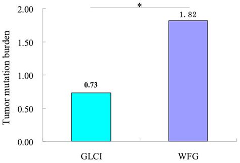 Comparison Of Tumor Mutation Burden Across All Samples For The Two
