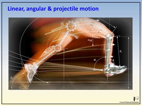 PPT Mastering Linear Angular Projectile Motion In Biomechanics PowerPoint Presentation ID