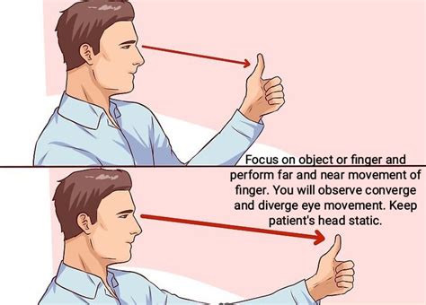 Homonymous Hemianopia Rehabilitation