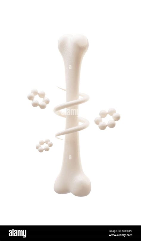 Biological Anatomy Of The Skeleton And Bone Health 3d Rendering 3d