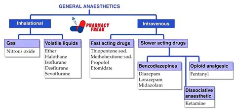 Classification Of General Anesthesia Drugs At Odell Higgins Blog