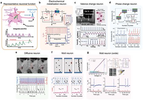 Memristive Artificial Neurons And Their Dynamic Functionality A Download Scientific Diagram