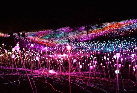 Lights At Sensorio At Inez Bennett Blog