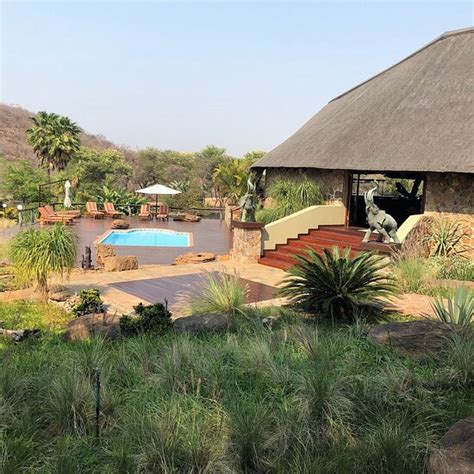 Royal Morubisi Founders Lodge Desde 8 011 Vaalwater Sudáfrica Opiniones Y Comentarios B