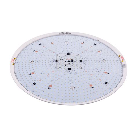 Flos Clara At Nostraforma