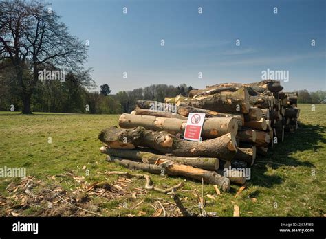 Dangerous Stack Of Heavy Sawn Timber With Warning Sign To Keep Off In