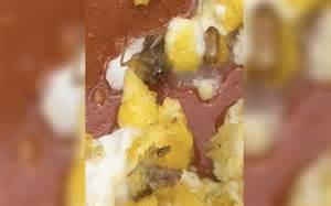 Moroccan Restaurant Scandal Cockroach In Tagine Sparks Food Safety Outrage Bladi