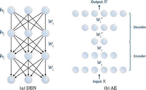 Deep Belief Network And Autoencoder Architectures Download