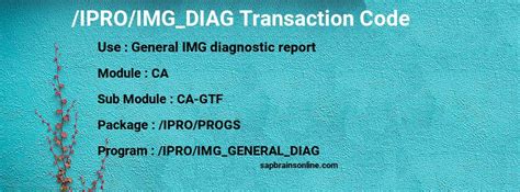 IPRO IMG DIAG SAP Tcode For General IMG Diagnostic Report