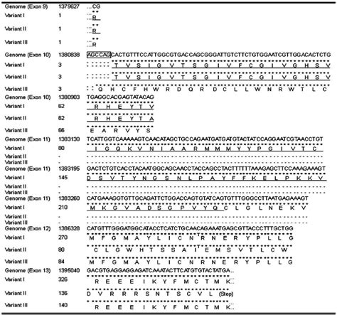 Multiple Alignment Of Nucleotide Sequences And Amino Acid Sequences Download Scientific Diagram