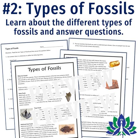 Fossils Reading And Worksheet Set Flying Colors Science