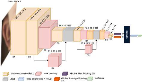 Figure 1 From Deep Ear Biometrics For Gender Classification Semantic